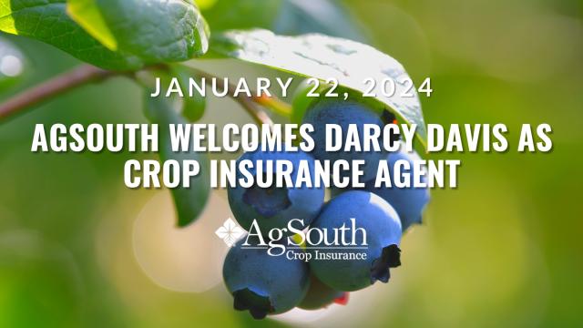 AgSouth Welcomes Darcy Davis as Crop Insurance Agent | AgSouth Farm Credit