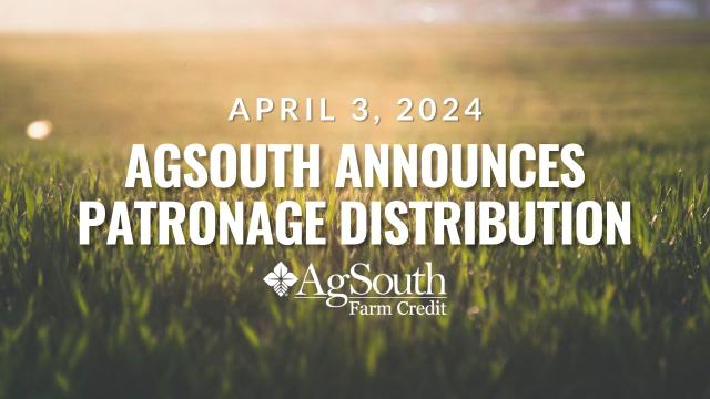 Blog | Answers and Guidance | AgSouth Farm Credit